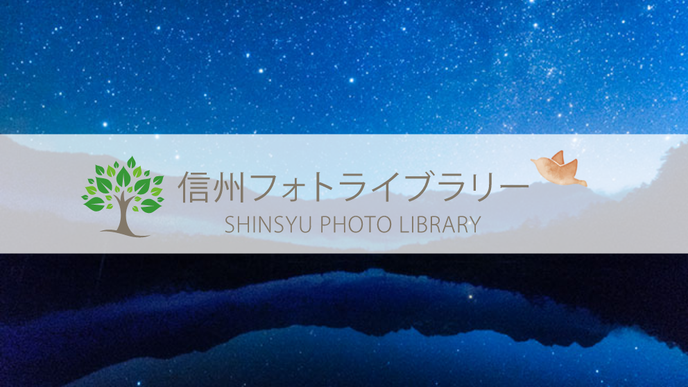 キッセイ薬品工業 医療関係者向けサイト KISSEI Medical Navi
